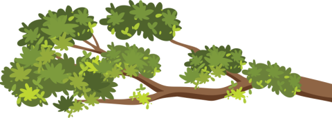 Balvvardhak Baby Food | Tastes just like home!